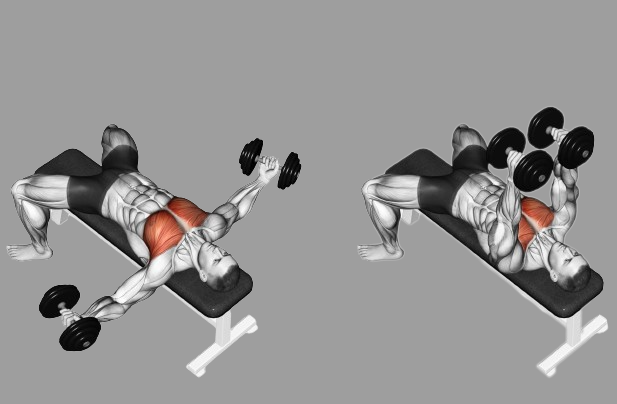 Pec Deck Alternatives | Compare Upper Chest Exercises