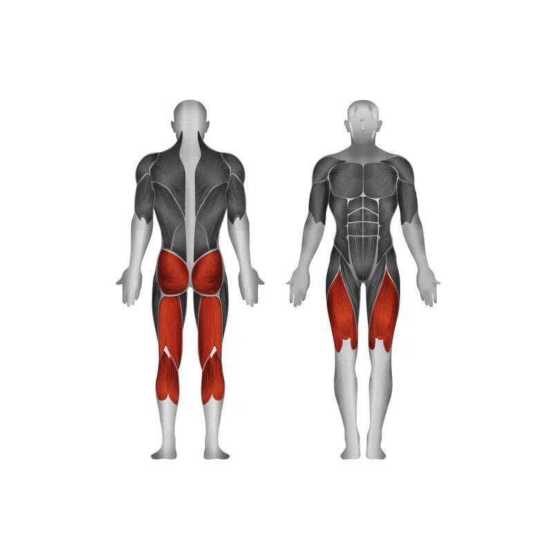 Power Squat Exercise | Boost Lower Body Strength, Stability, and More