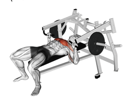 Master ISO Incline Press Machine | Tips & Machine Guide