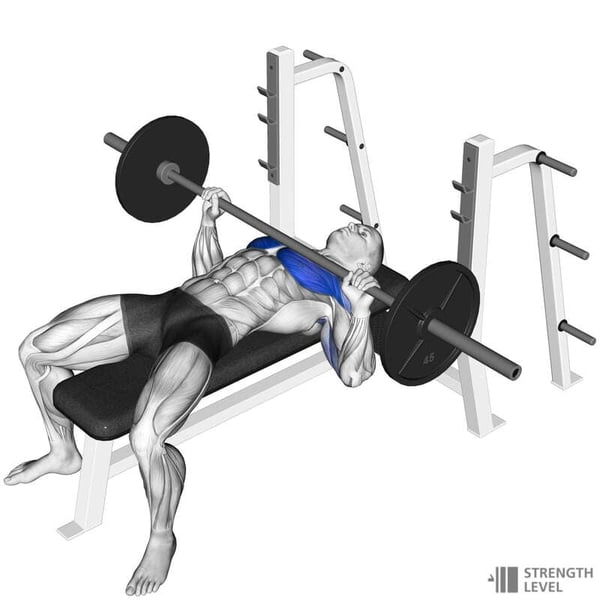 Pec Deck Alternatives | Compare Upper Chest Exercises
