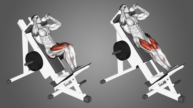 Power Squat Machine | Benefits & Top Alternatives