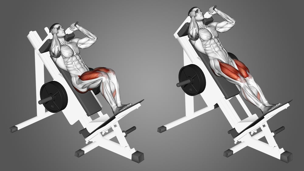Power Squat Machine | Benefits & Top Alternatives